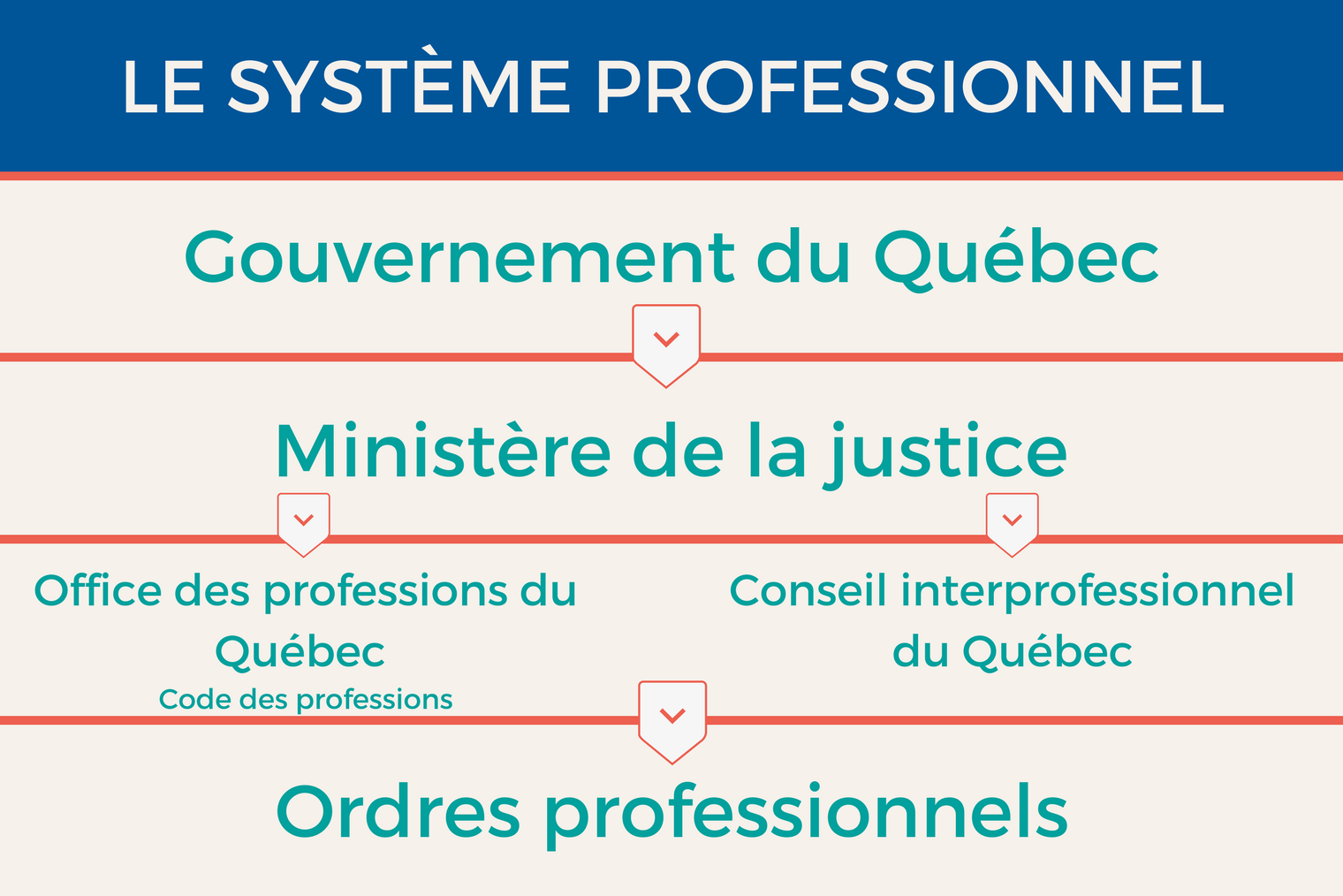 À propos de l'Ordre professionnel de la physiothérapie du Québec | OPPQ